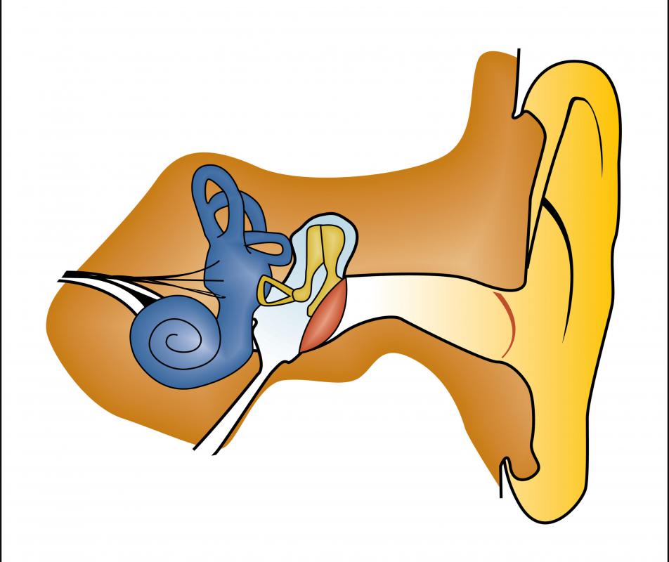 What Is An External Ear Infection with Pictures 