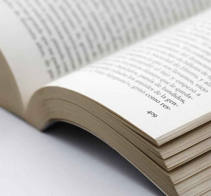 What Are Chapter Books with Pictures What Are Chapter Books with Pictures